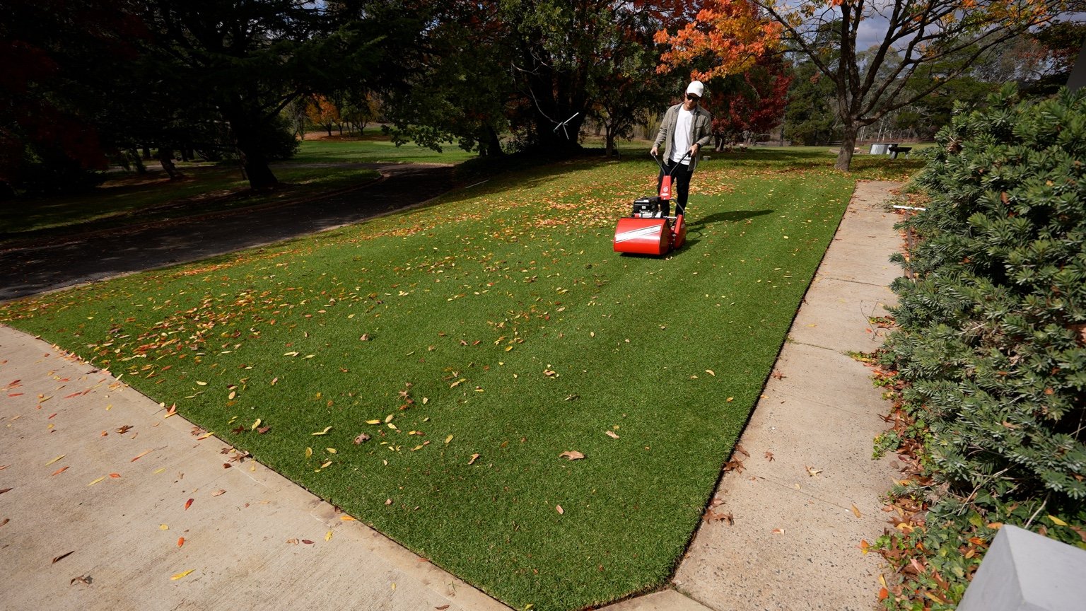 Couch vs Kikuyu vs Buffalo: Which Lawn Type Is Best for You? – Lawn Tips