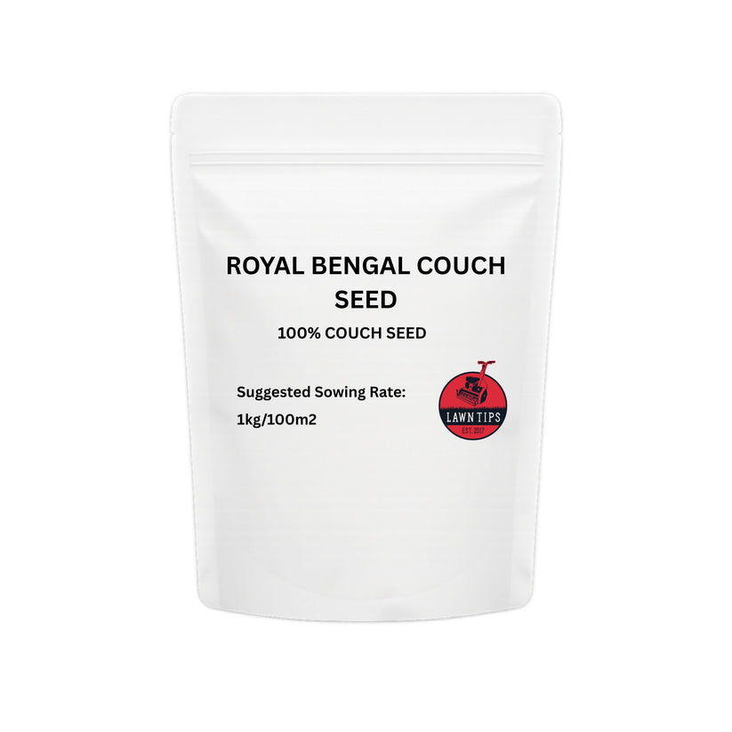 Royal Bengal Couch Seed – Lawn Tips